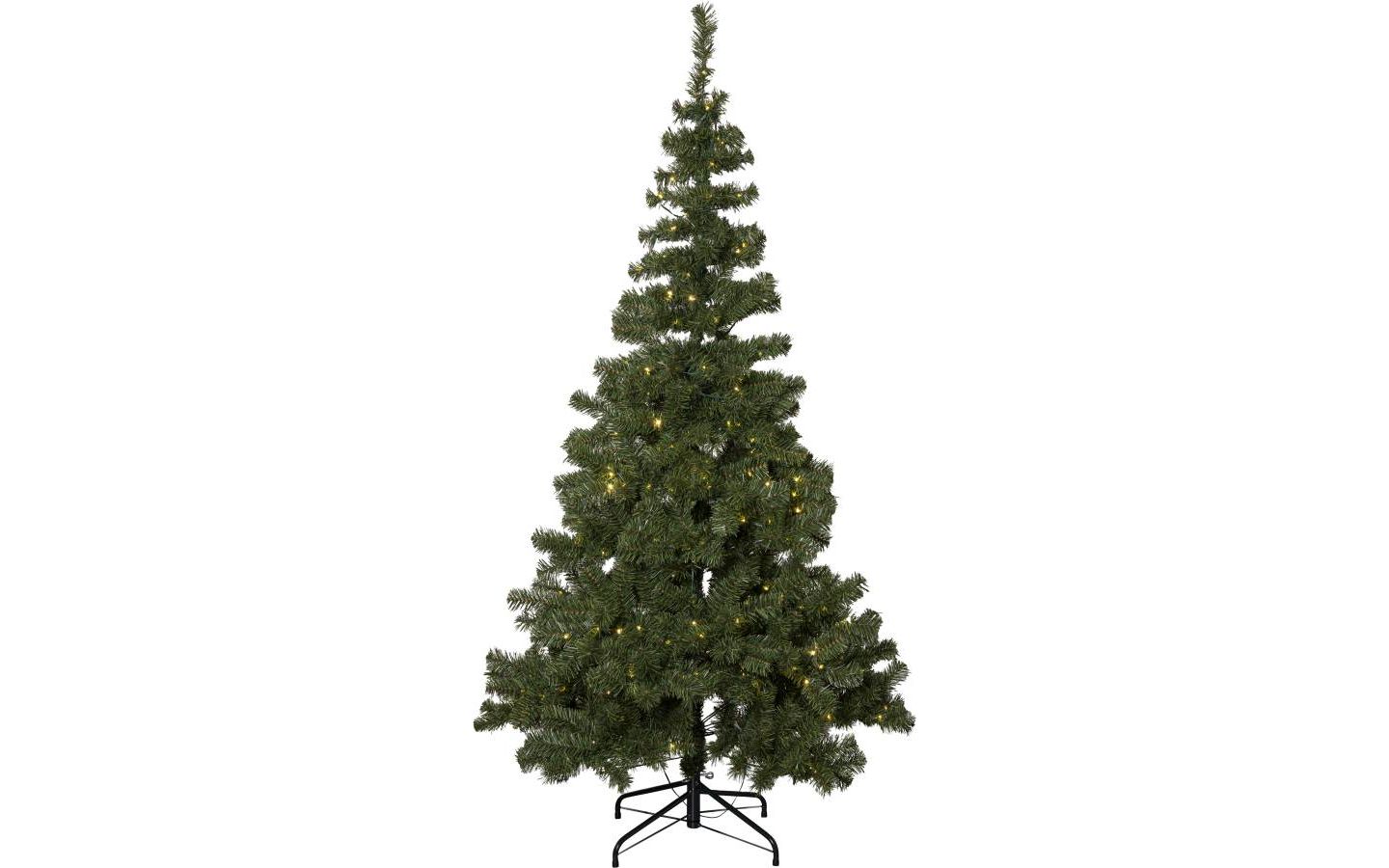 Köp Julgran med LED Ottawa Grön från Star Trading